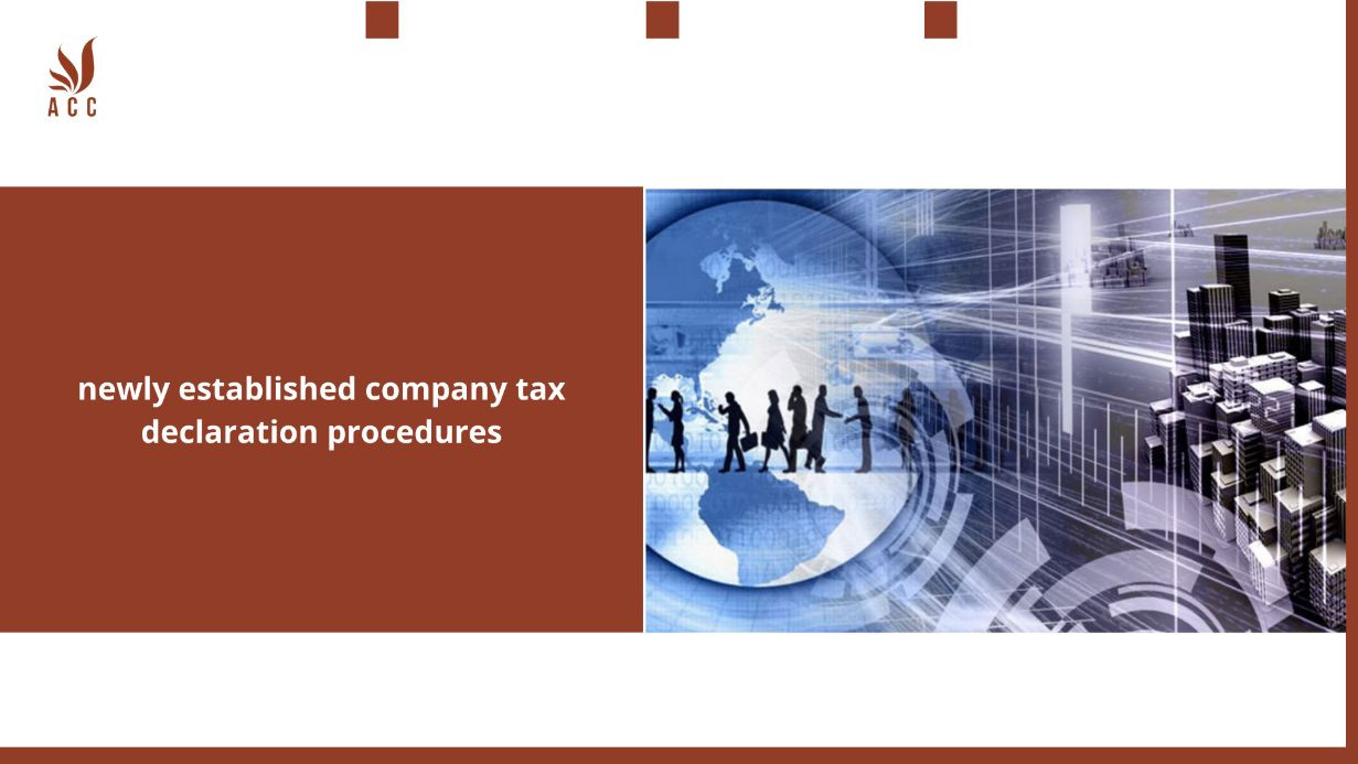 Newly established company tax declaration procedures