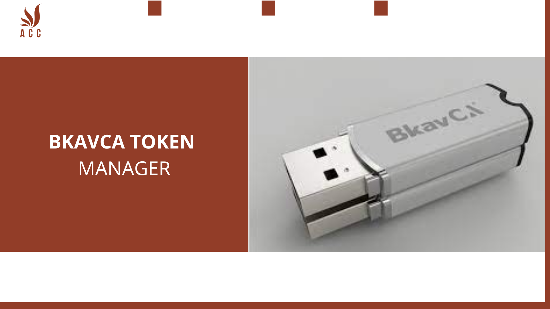 Hướng dẫn sử dụng BKAVCA Token