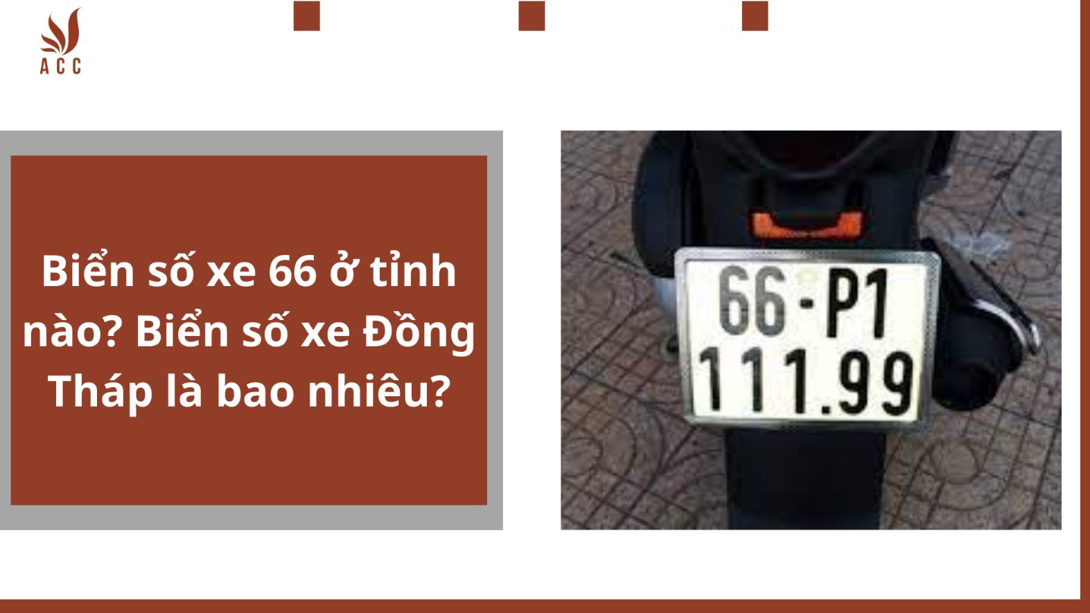 Biển số xe 66 ở tỉnh nào? Biển số xe Đồng Tháp là bao nhiêu?