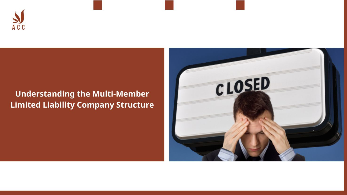 Understanding the Multi-Member Limited Liability Company Structure