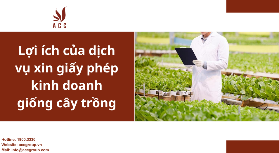 Dịch vụ xin giấy phép kinh doanh giống cây trồng tại Hải Dương