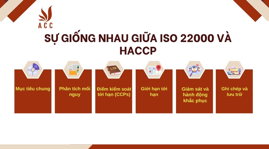 Phân biệt chứng chỉ ISO 22000 và HACCP chi tiết nhất