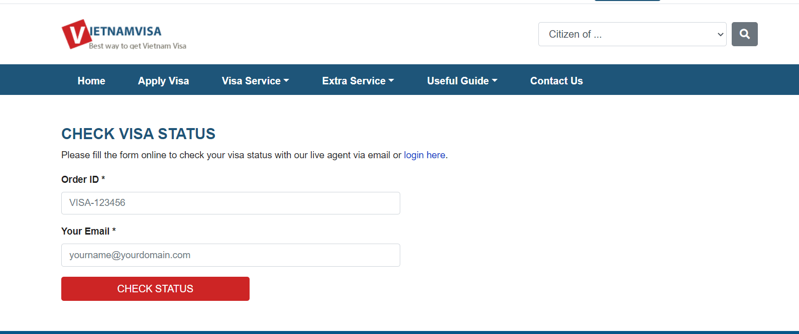How to check visa status?